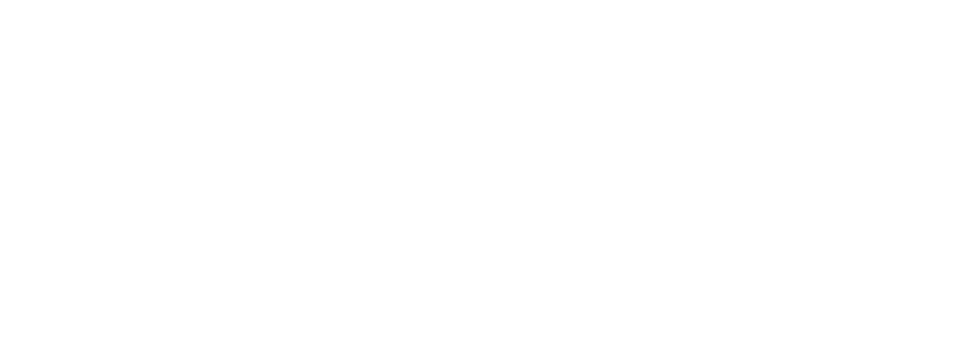 Edmonds Auto LLC